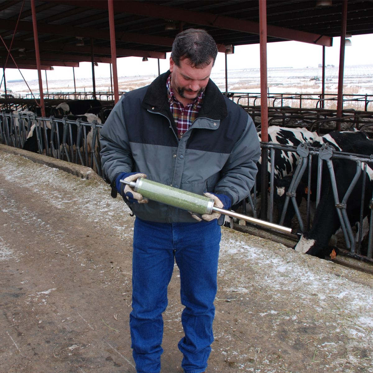 Why Regular Hay Sampling Ensures Livestock Health - AMS, Inc.